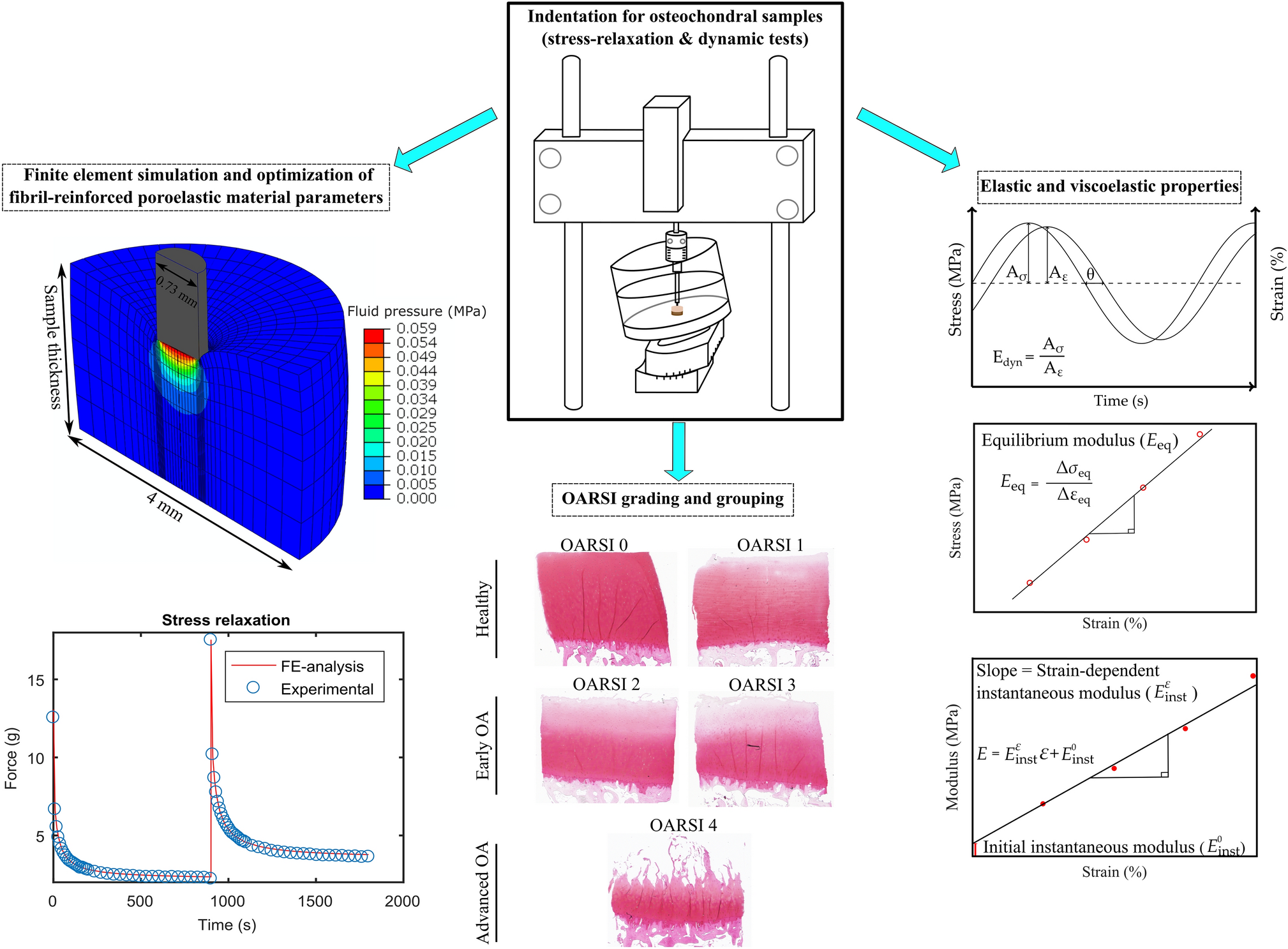 Elastic, Viscoelastic and Fibril-Reinforced Poroelastic Material Properties of Healthy and ...