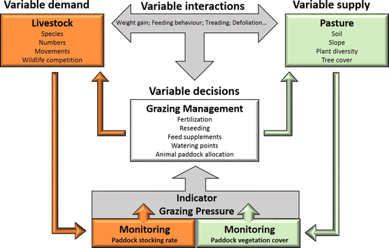 Overgrazing in the Montado? The need for monitoring grazing pressure at ...