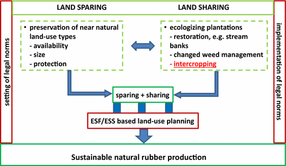 Rubber intercropping: a viable concept for the 21st century? | SpringerLink