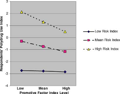 The Effects of Cumulative Risks and Promotive Factors on Urban ...