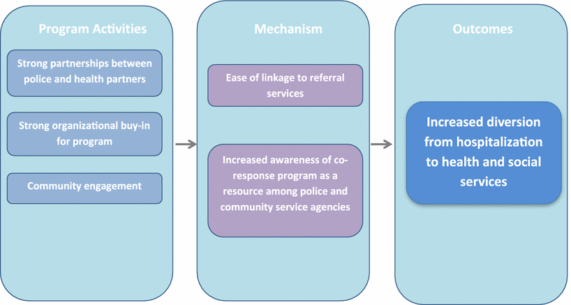 Co-responding Police-Mental Health Programs: A Review | SpringerLink