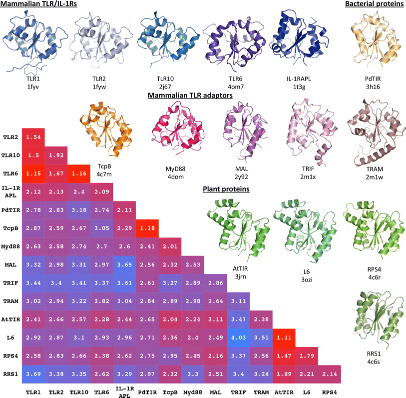 Structure and function of Toll/interleukin-1 receptor/resistance ...