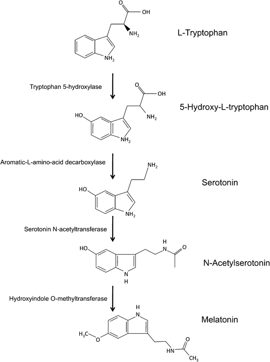 Serotonin: from top to bottom | SpringerLink