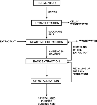Recovery of succinic acid from fermentation broth | SpringerLink