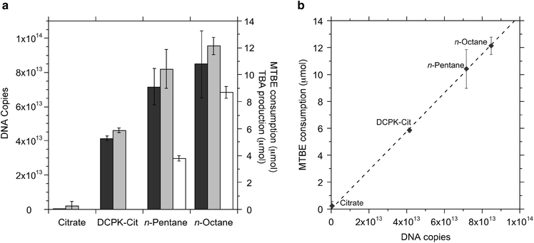 Expression of an alkane monooxygenase ( alkB) gene and methyl tert ...