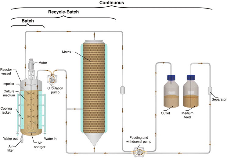 Current advances in biological production of propionic acid | SpringerLink