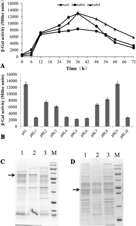 Identification of strong promoters based on the transcriptome of ...