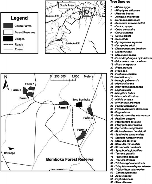 Cocoa farms in the Mount Cameroon region: biological and cultural ...