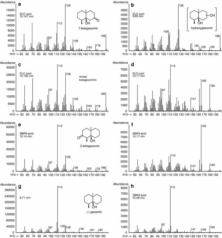 Biotransformations of (+/−)-geosmin by terpene-degrading bacteria ...