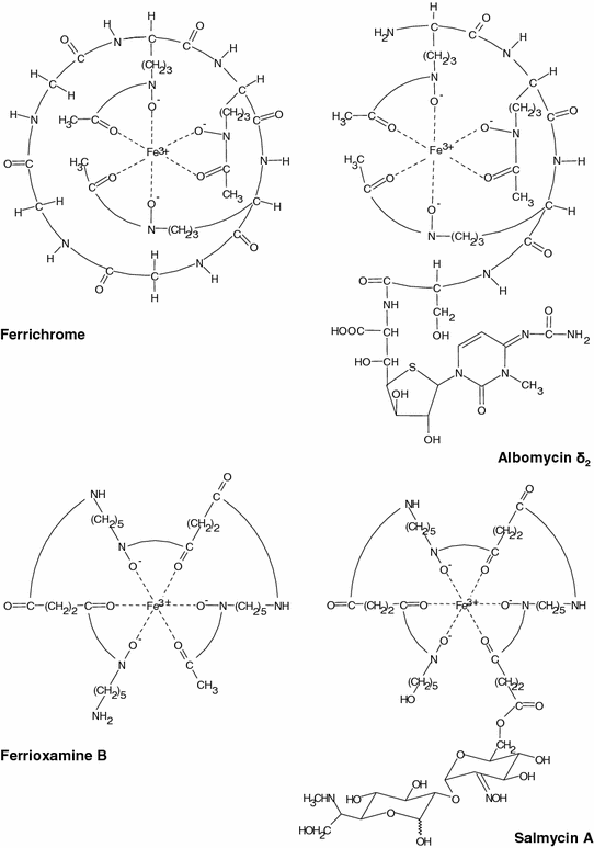Sideromycins: tools and antibiotics | SpringerLink