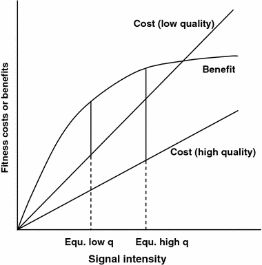 Modelling and the fall and rise of the handicap principle | SpringerLink