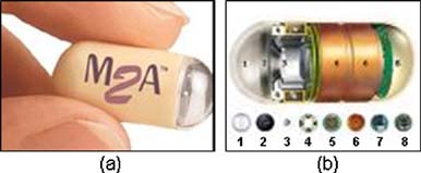 Wireless capsule endoscopy: from diagnostic devices to multipurpose ...