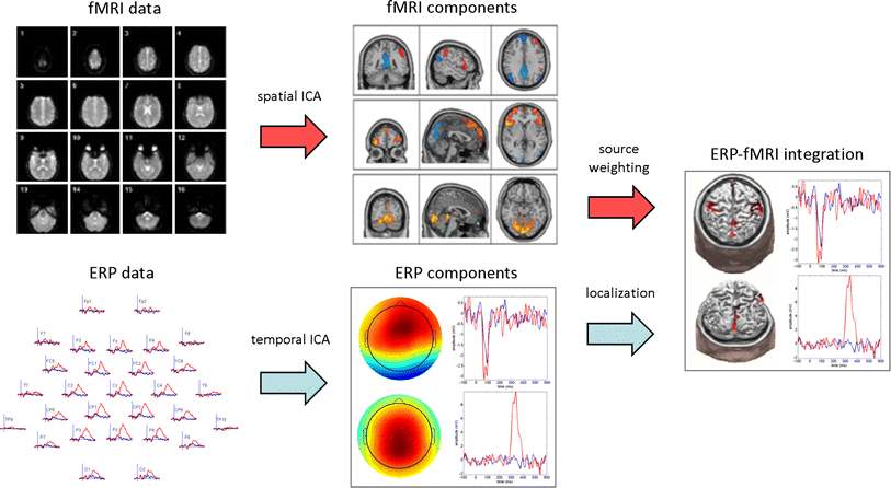 Multimodal Integration of fMRI and EEG Data for High Spatial and Temporal Resolution Analysis of ...