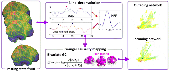 Point-Process Deconvolution of fMRI BOLD Signal Reveals Effective ...