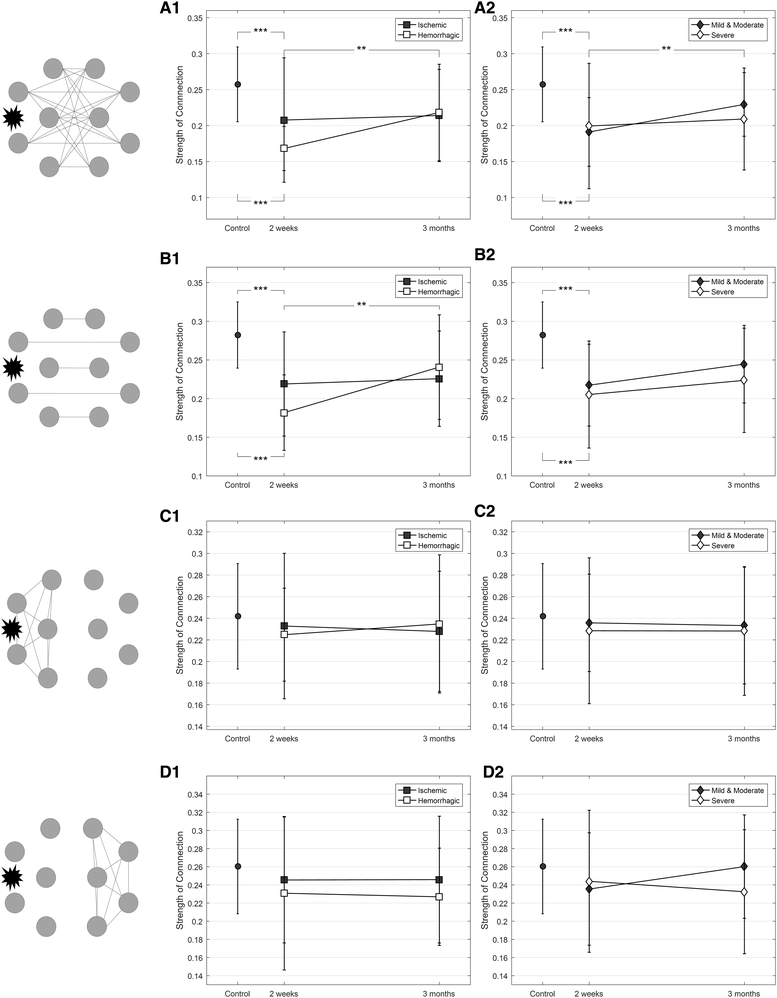 Alteration and Role of Interhemispheric and Intrahemispheric ...