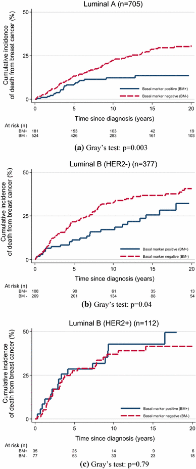 Basal markers and prognosis in luminal breast cancer | SpringerLink