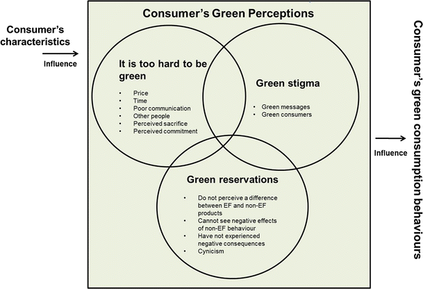 Exploring the Gap Between Consumers’ Green Rhetoric and Purchasing ...