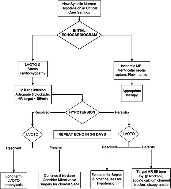 Echocardiography in stress cardiomyopathy and acute LVOT obstruction ...