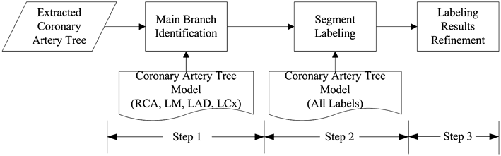 Automatic identification of coronary tree anatomy in coronary computed ...