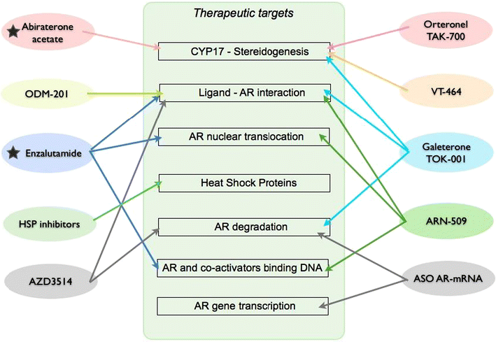 Novel drugs targeting the androgen receptor pathway in prostate cancer ...