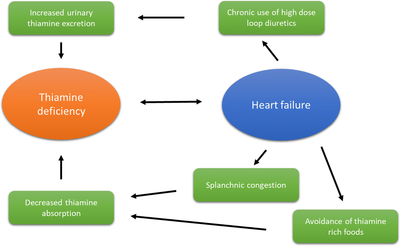 Thiamine Therapy for Heart Failure: a Promise or Fiction? | SpringerLink