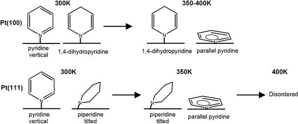 Structure Effects on Pyridine Hydrogenation over Pt(111) and Pt(100 ...