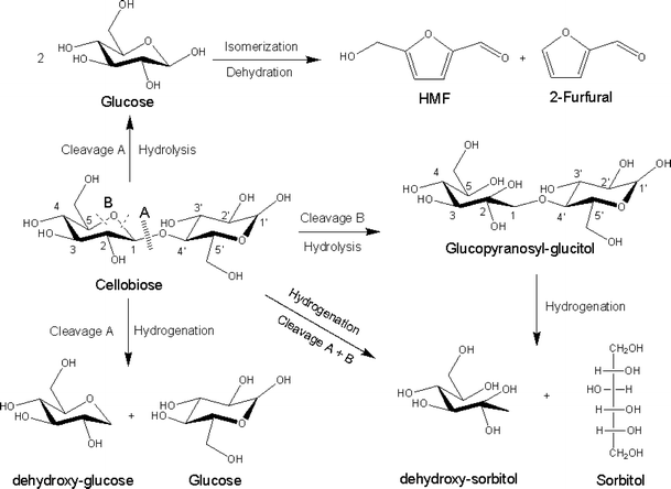 Oxidative Hydrolysis of Cellobiose to Glucose | SpringerLink