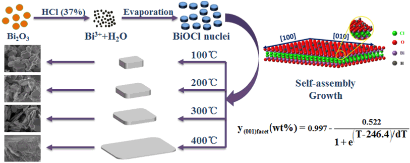 BiOCl Nanosheets with Controlled Exposed Facets and Improved ...