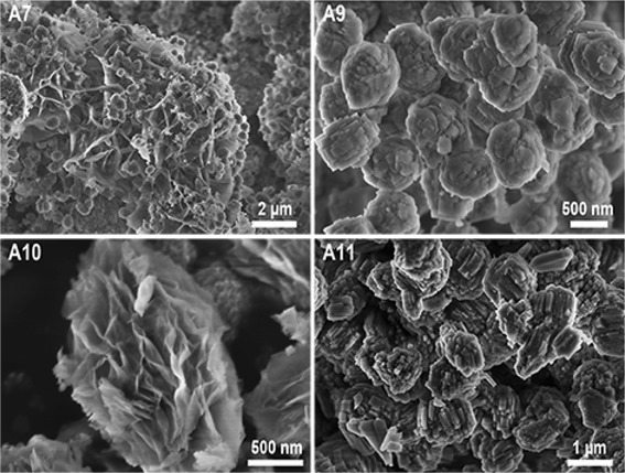 Transalkylation Properties of Hierarchical MFI and MOR Zeolites: Direct ...