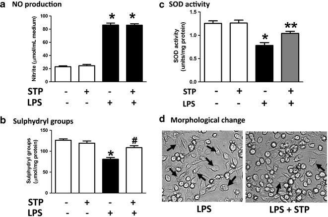 Effect of N-salicyloyltryptamine (STP), a novel tryptamine analogue, on ...
