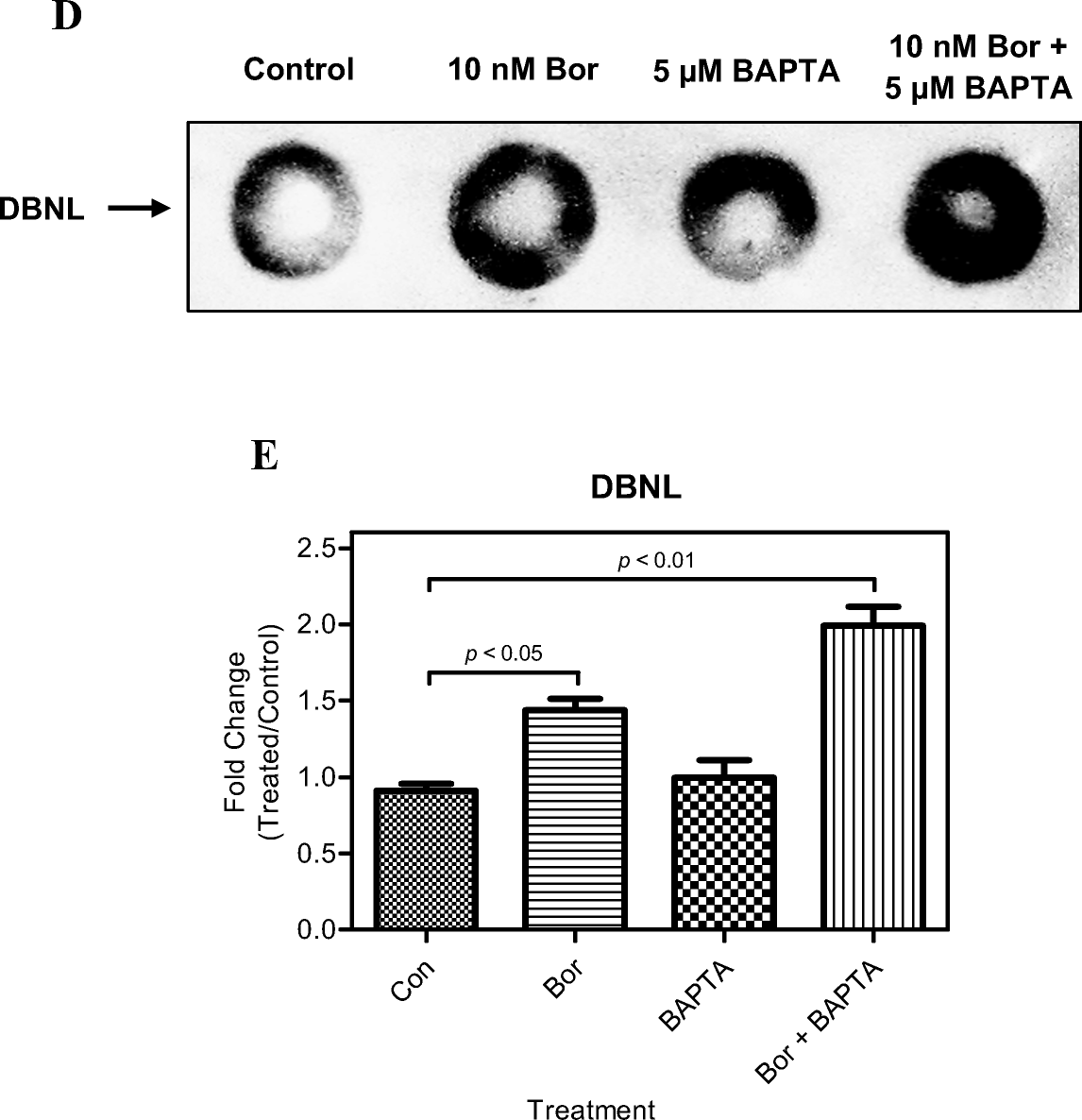 A novel and effective inhibitor combination involving bortezomib and ...