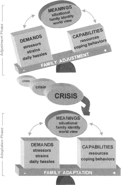 Enhancing Family Resilience Through Family Narrative Co-construction ...