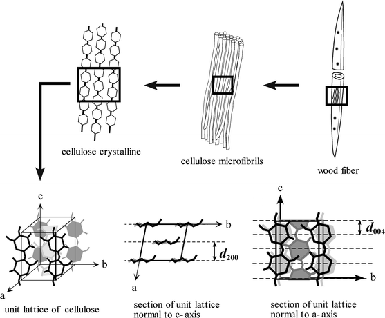 Mechanical interaction between cellulose microfibrils and matrix ...