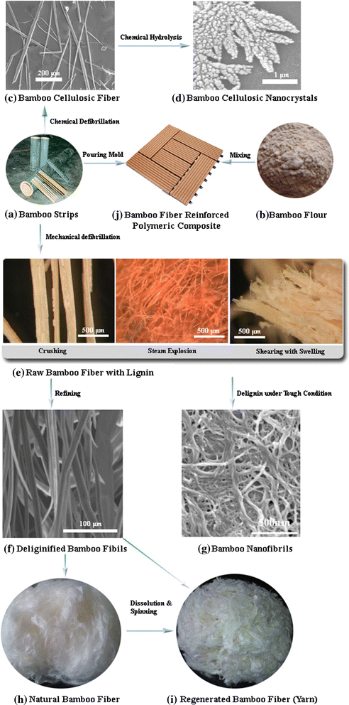 Bamboo fiber and its reinforced composites: structure and properties ...