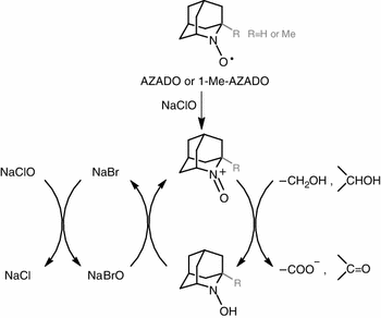 Oxidation of wood cellulose using 2-azaadamantane N-oxyl (AZADO) or 1 ...