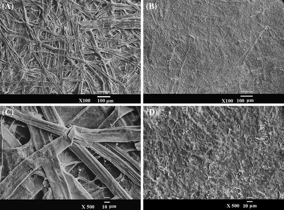 Silver-nanoparticle-impregnated cellulose nanofiber coating for ...