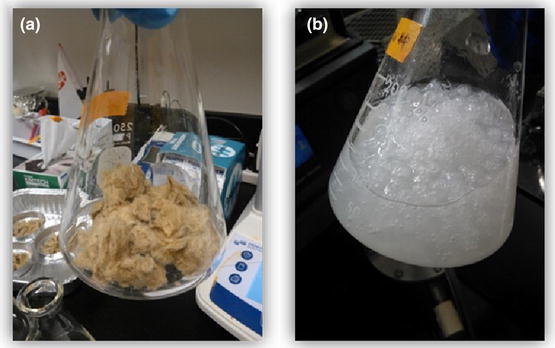 Fabrication of microfibrillated cellulose gel from waste pulp sludge ...