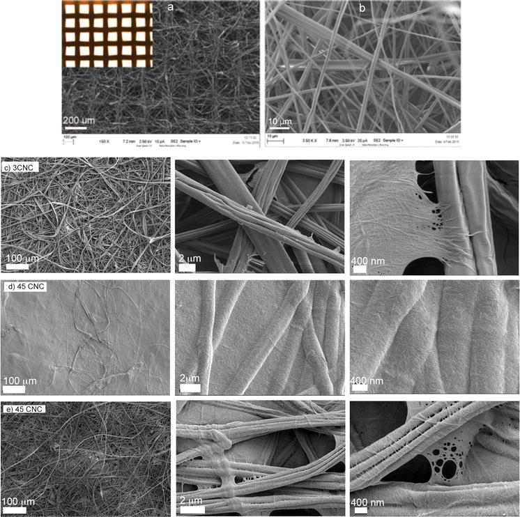 All cellulose electrospun water purification membranes nanotextured ...