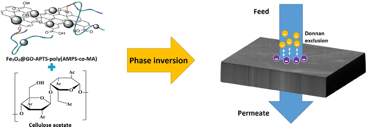 Fabrication of cellulose acetate/Fe3O4@GO-APTS-poly(AMPS-co-MA) mixed ...