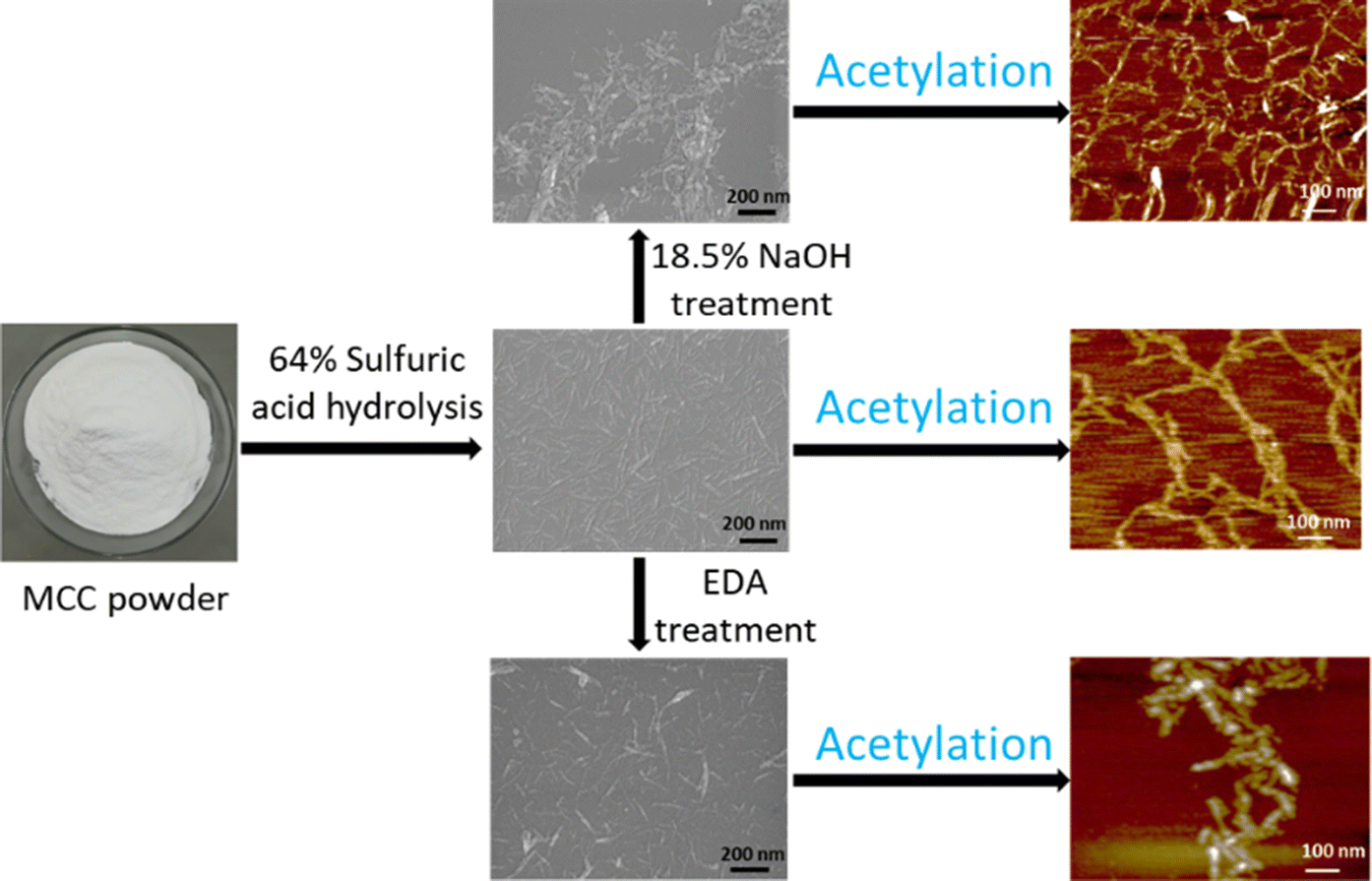 Preparation, characterization and acetylation of cellulose nanocrystal ...