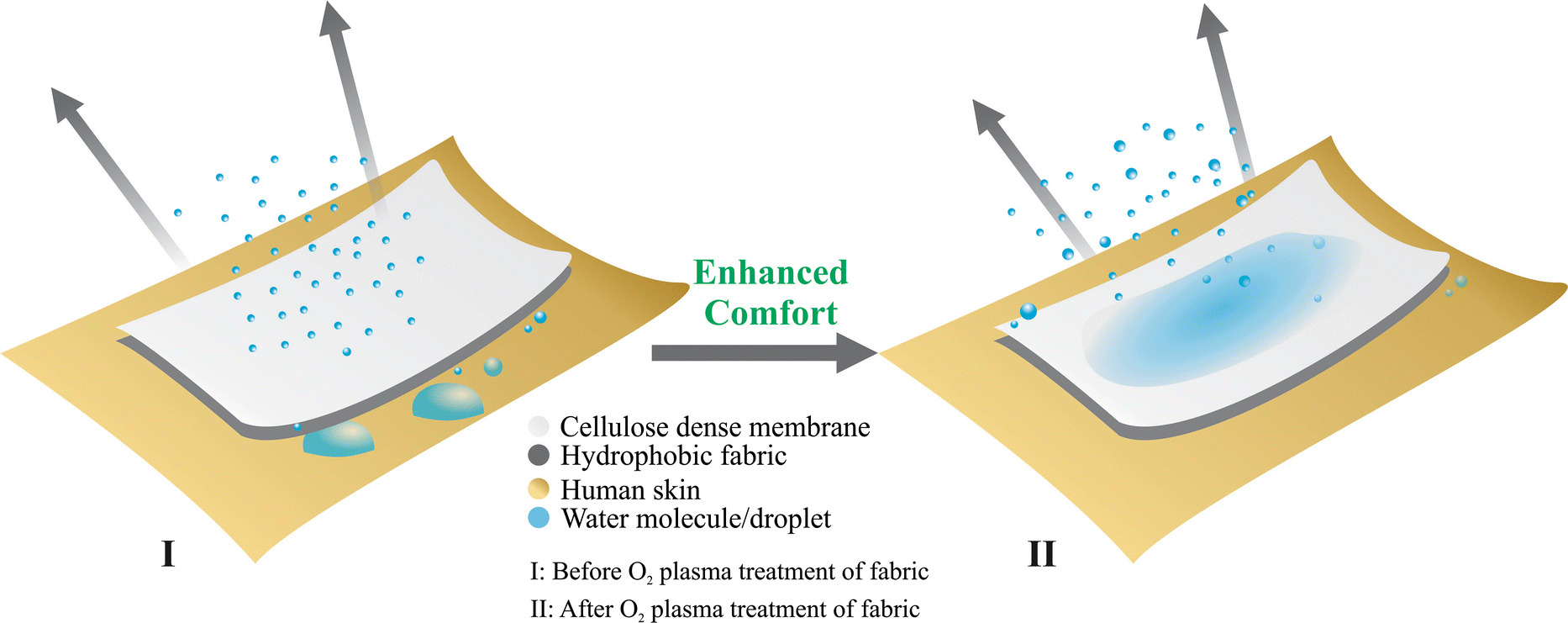 Breathable dual-layer textile composed of cellulose dense membrane and ...