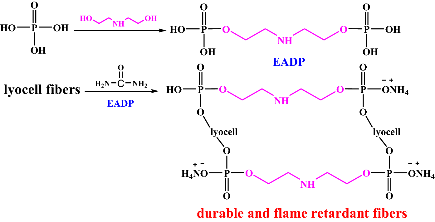Preparation of durable and flame retardant lyocell fibers by a one-pot ...