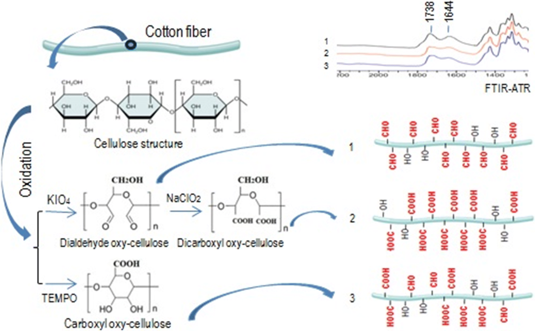 Influence of different oxidizing systems on cellulose oxidation level ...