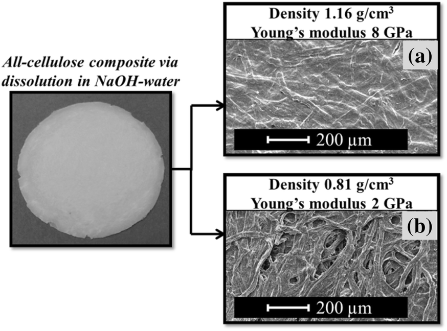 All-cellulose composites via short-fiber dispersion approach using NaOH ...
