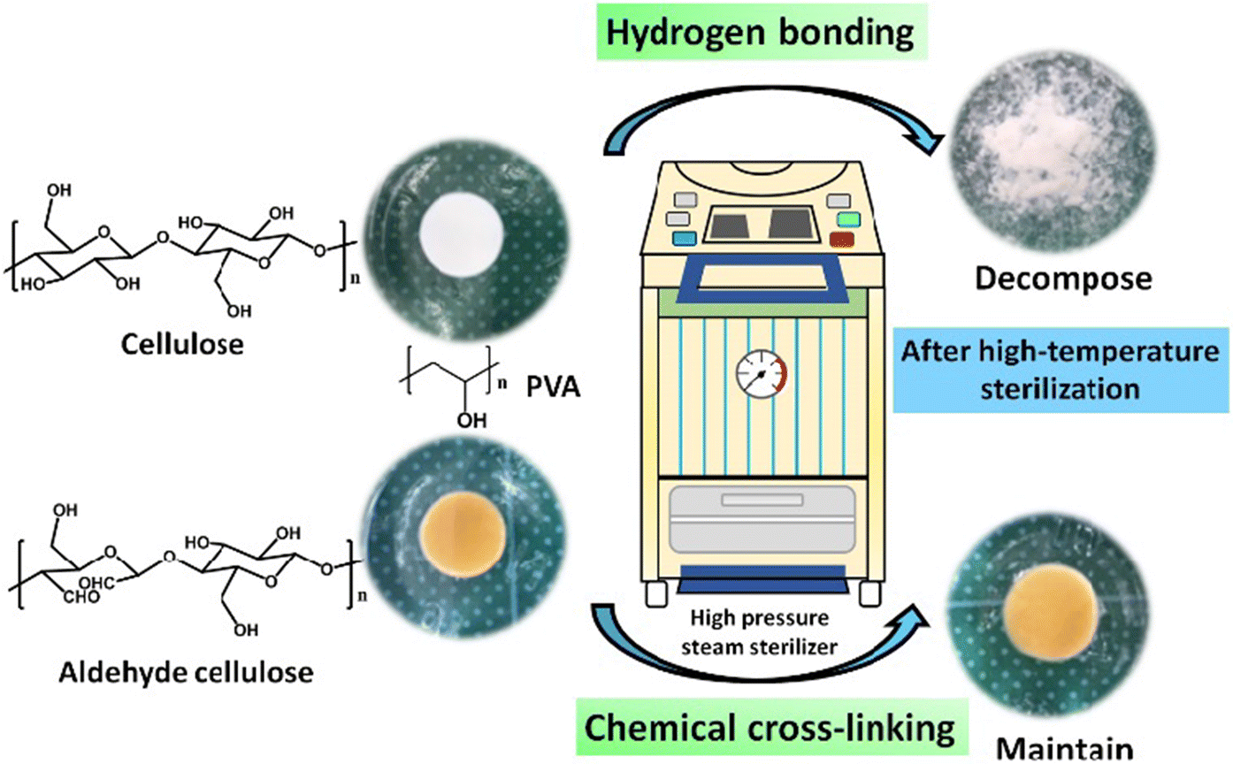 Highly temperature resistant cellulose nanofiber/polyvinyl alcohol ...