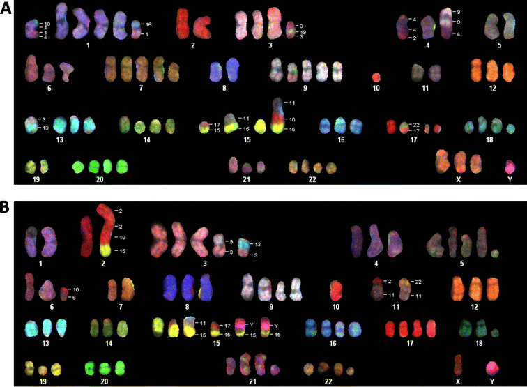 Chromosomes and cancer cells | SpringerLink
