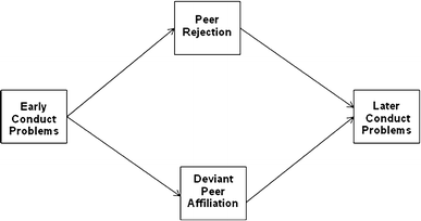 A Developmental Perspective on Peer Rejection, Deviant Peer Affiliation ...