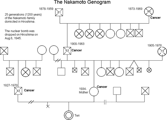 Genograms: Use in Therapy with Asian Families with Diverse Cultural ...
