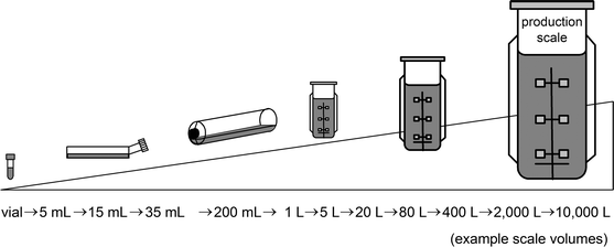 Model-based strategy for cell culture seed train layout verified at lab ...