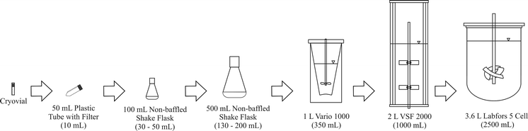 Model-based strategy for cell culture seed train layout verified at lab ...